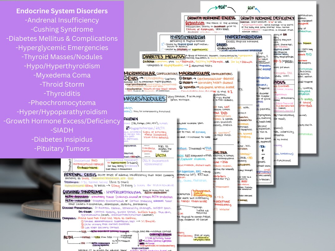 Endocrine System Disorders Study Guide Nclex/nursing School PDF Digital ...