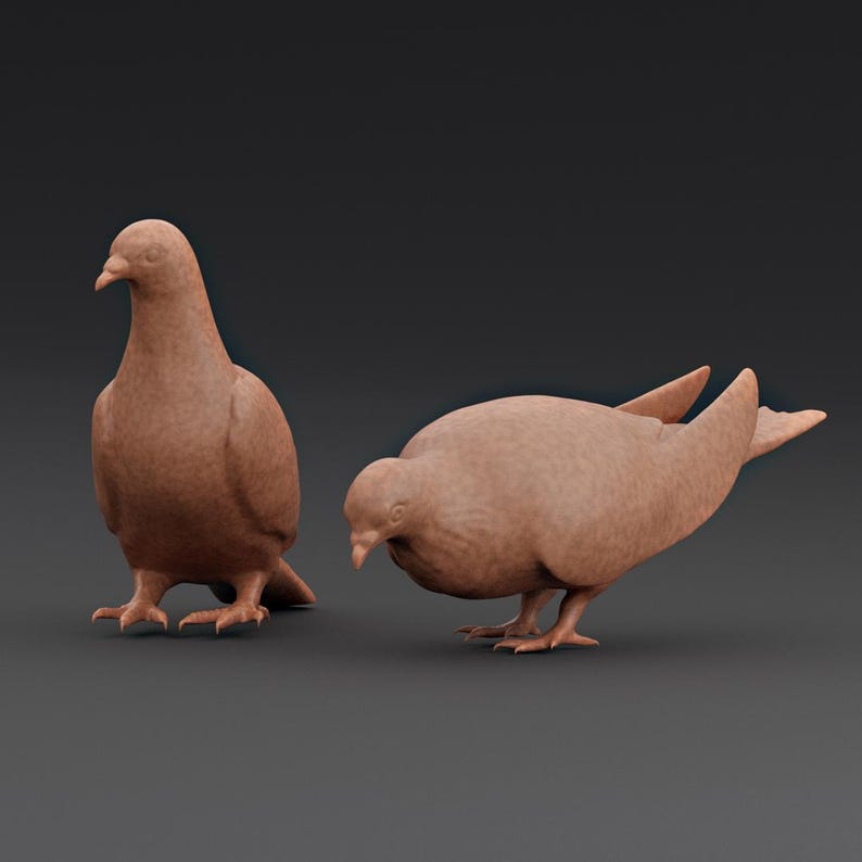 Pigeon - .STL for Action Figures Photographers, Collectors - Etsy