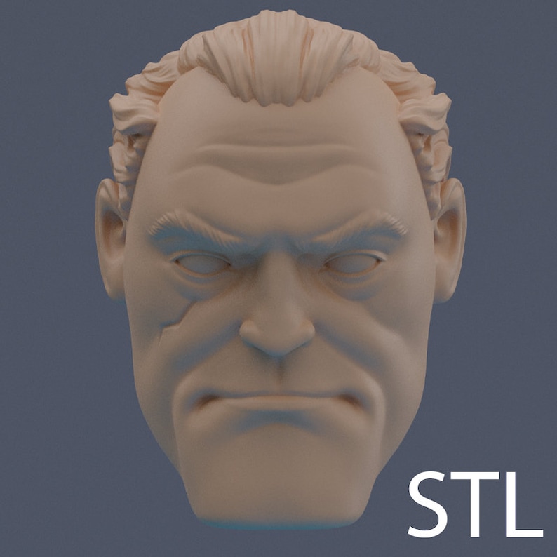 1/12 Custom 3D Modeled Head Sculpt .STL - Etsy