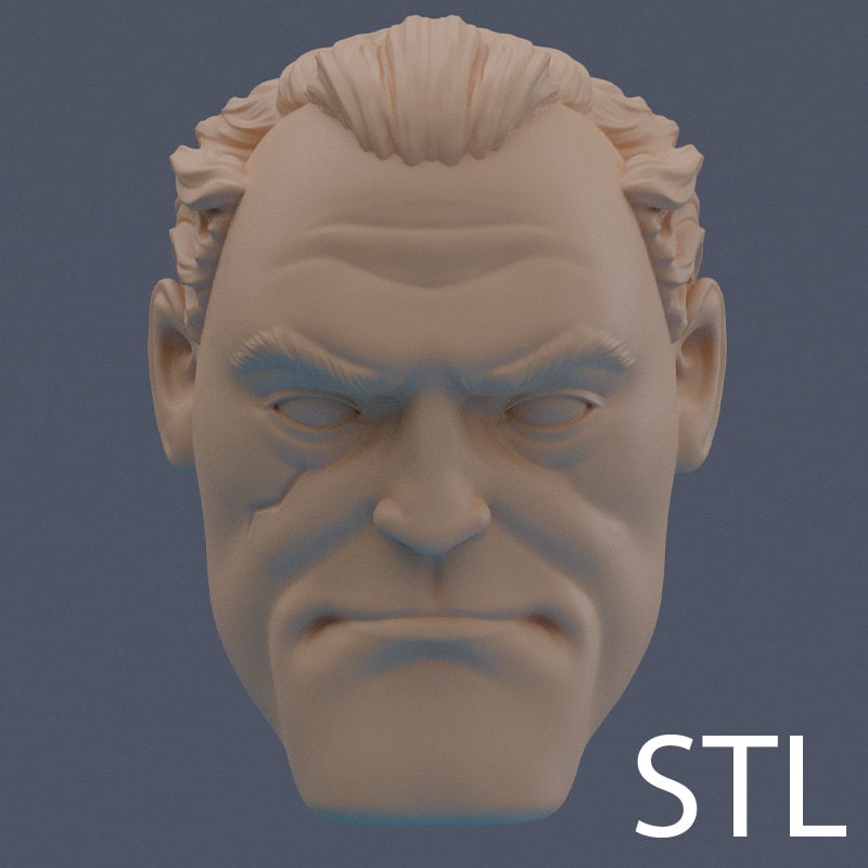 1/12 Custom 3D Modeled Head Sculpt .STL - Etsy