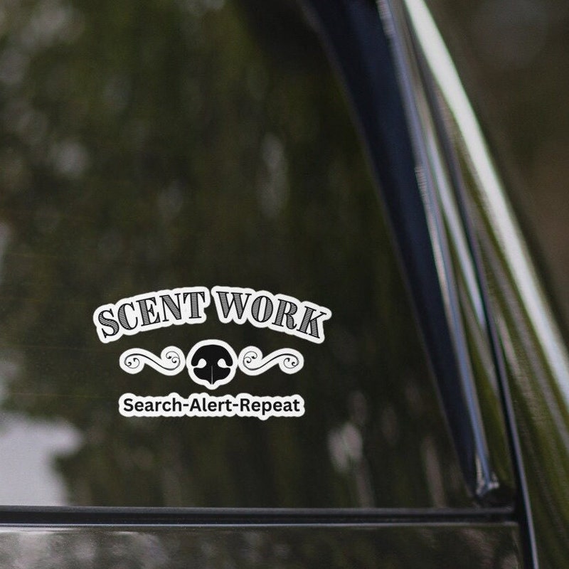 Dog Scent Work - Etsy