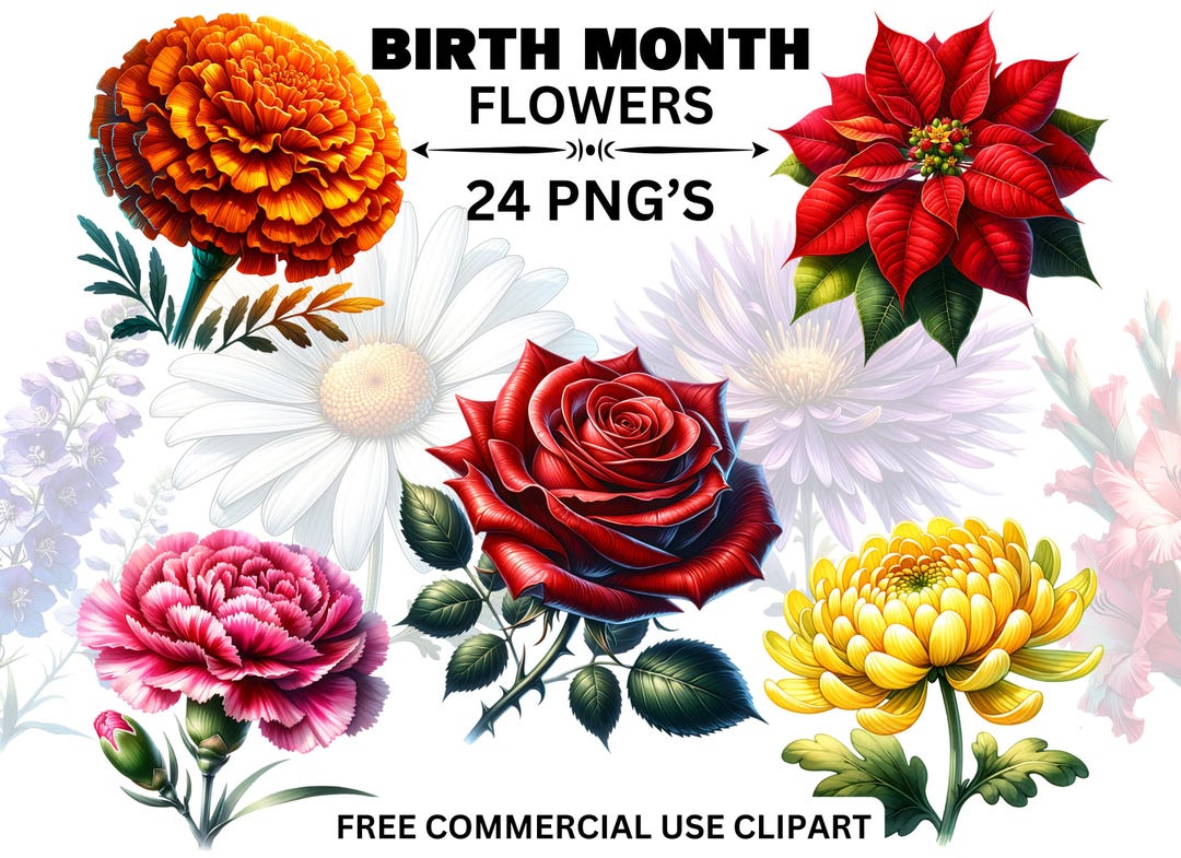 Birth Month Flower Clipart: Watercolor Floral PNG Bundle (digital ...