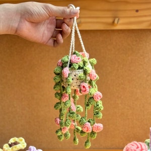 String of Pearls Crochet Pattern, Hanging Plant Pattern, Flower Basket ...