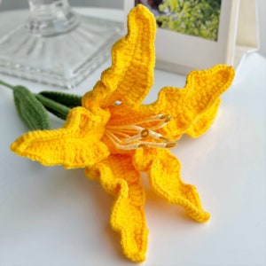 Iris Flower Crochet Pattern, Crochet Flower Bouquet Pattern, Crochet ...