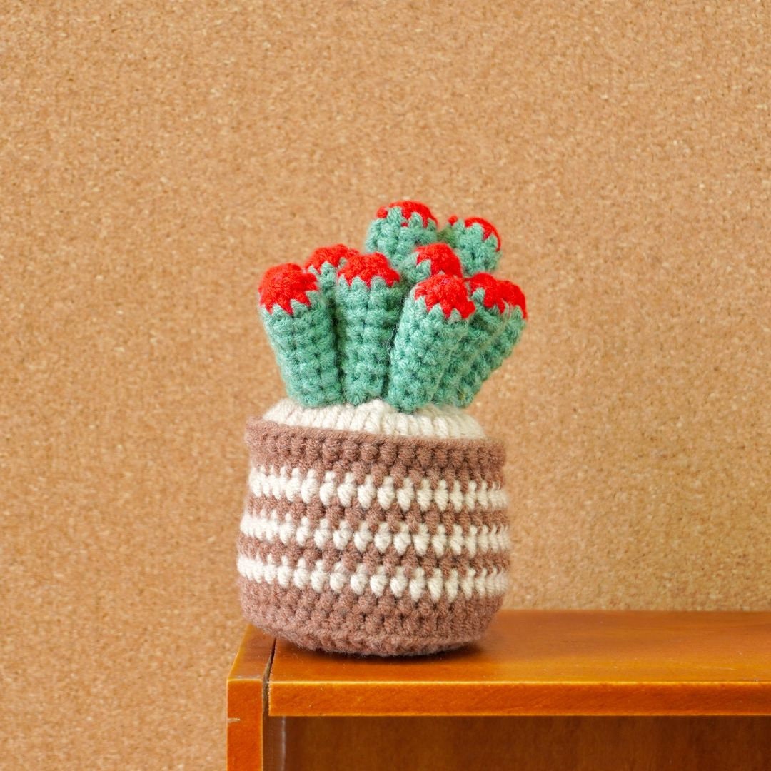 Crassula Ovata Hobbi Crochet Pattern, Catus Pot Crochet Pattern, Plant ...