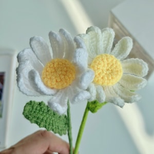 White Daisy Flower Crochet Pattern, Crochet Flower Bouquet Pattern ...