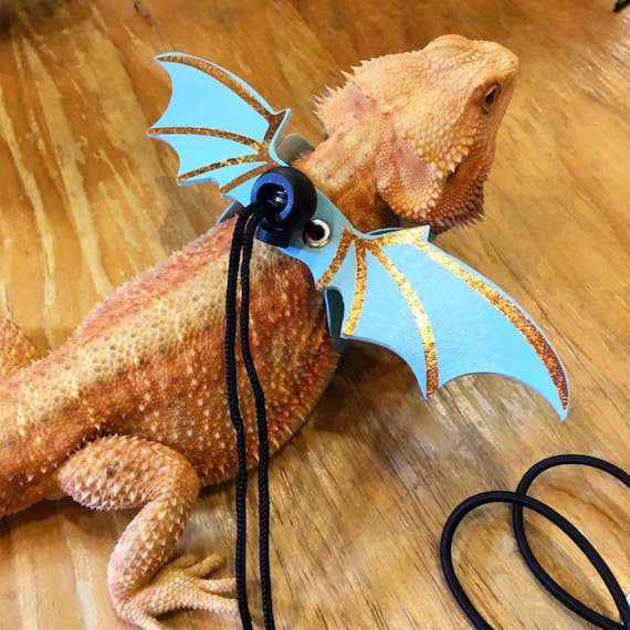Bearded Dragon Costumes