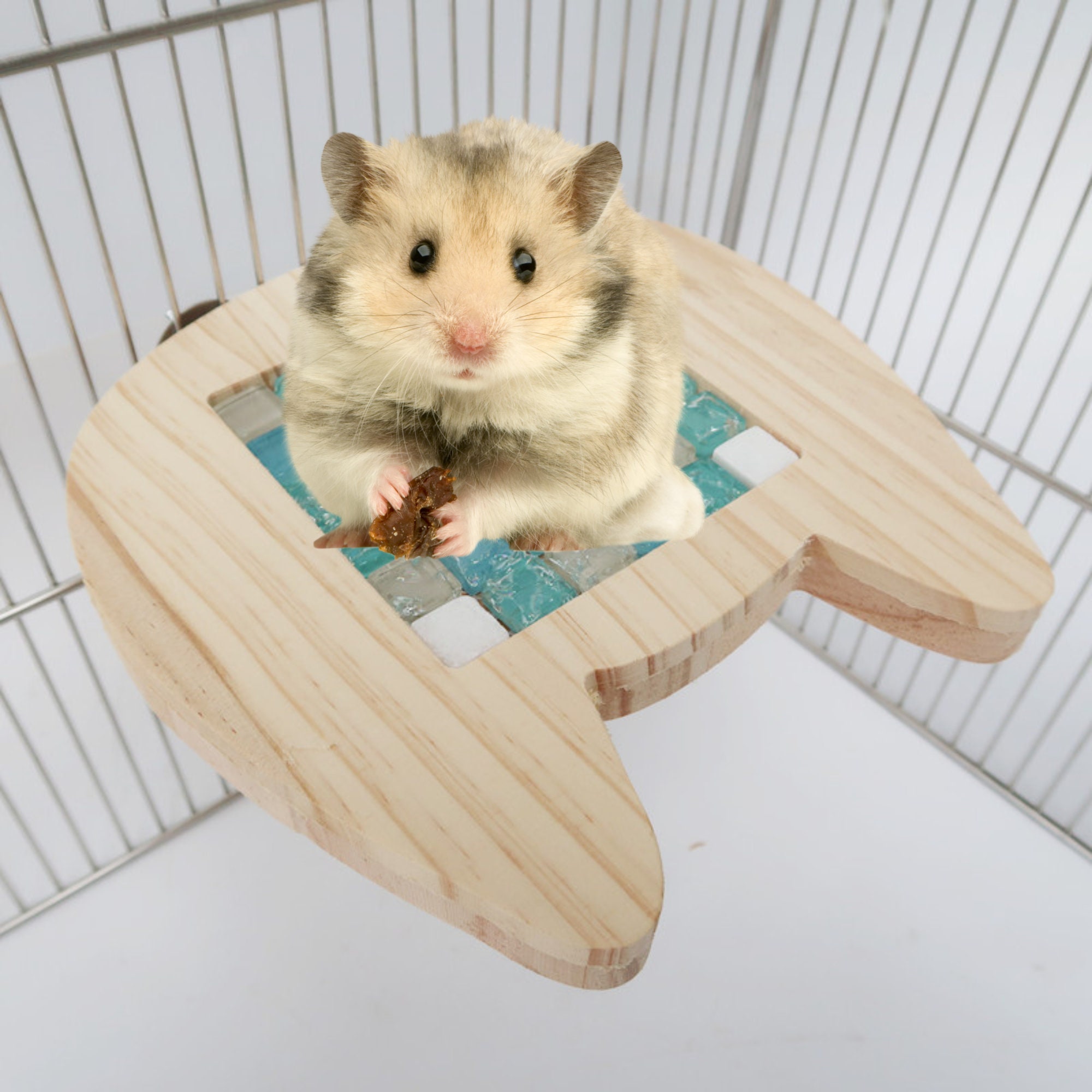 Hamster Leashes And Collars