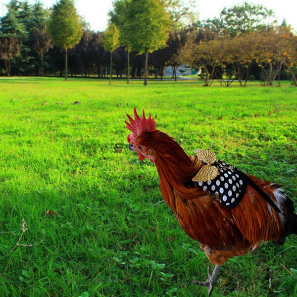 Harness for Chickens - Etsy