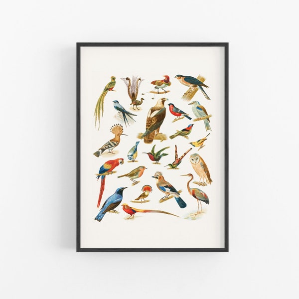 Bird Nature Poster - Etsy