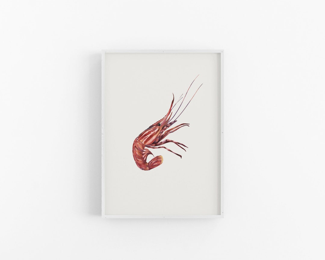 Prawn Print | Printable Shrimp Art Print, Beach House Kitchen Wall Art ...