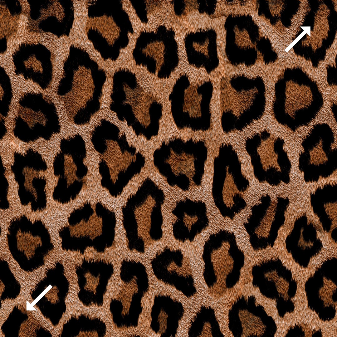 Leopard Digital Print, Download Files Png, Decoration. - Etsy