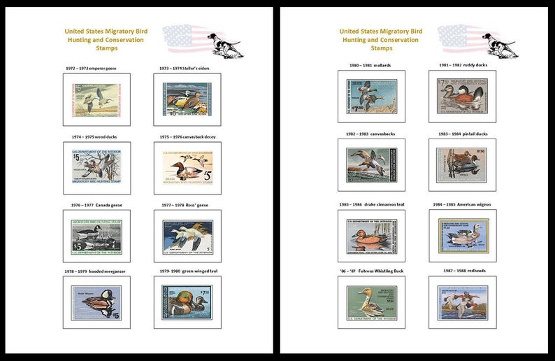 Federal Duck Stamp Album Pages * DIGITAL DOWNLOAD * - Etsy