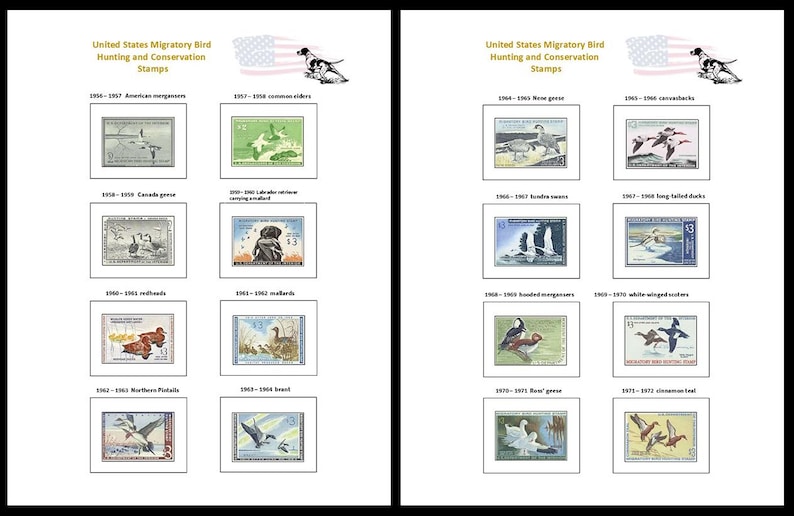 Federal Duck Stamp Album Pages * DIGITAL DOWNLOAD * - Etsy