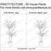 House Plants Archicad Objects .gsm & CAD Blocks - Etsy