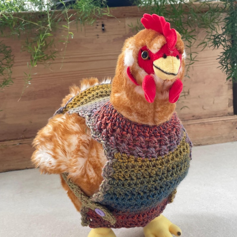 Chicken Protest Clothing - Etsy UK