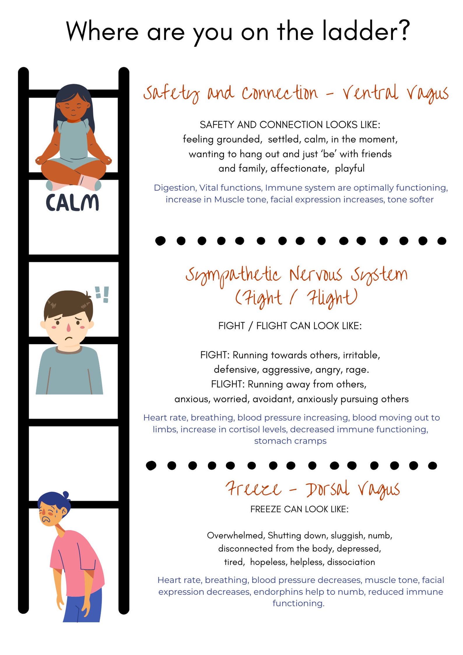 Polyvagal Theory Ladder of the Nervous System Worksheets - Etsy