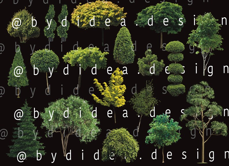 Procreate Trees Cutouts Interior Sketch Blocks - Etsy