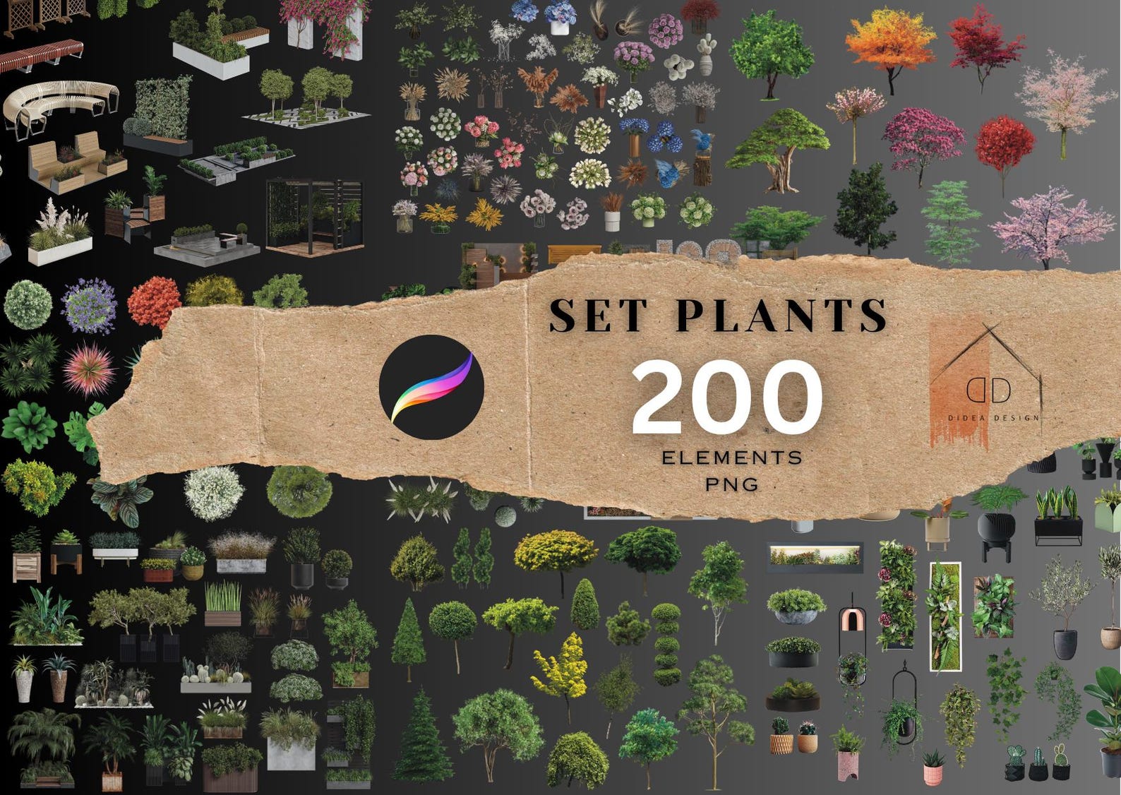 Procreate Set Plants Flowers Trees Nature Bundle Cutouts PNG Elements ...