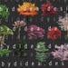 Procreate Set Plants Flowers Trees Nature Bundle Cutouts PNG Elements ...