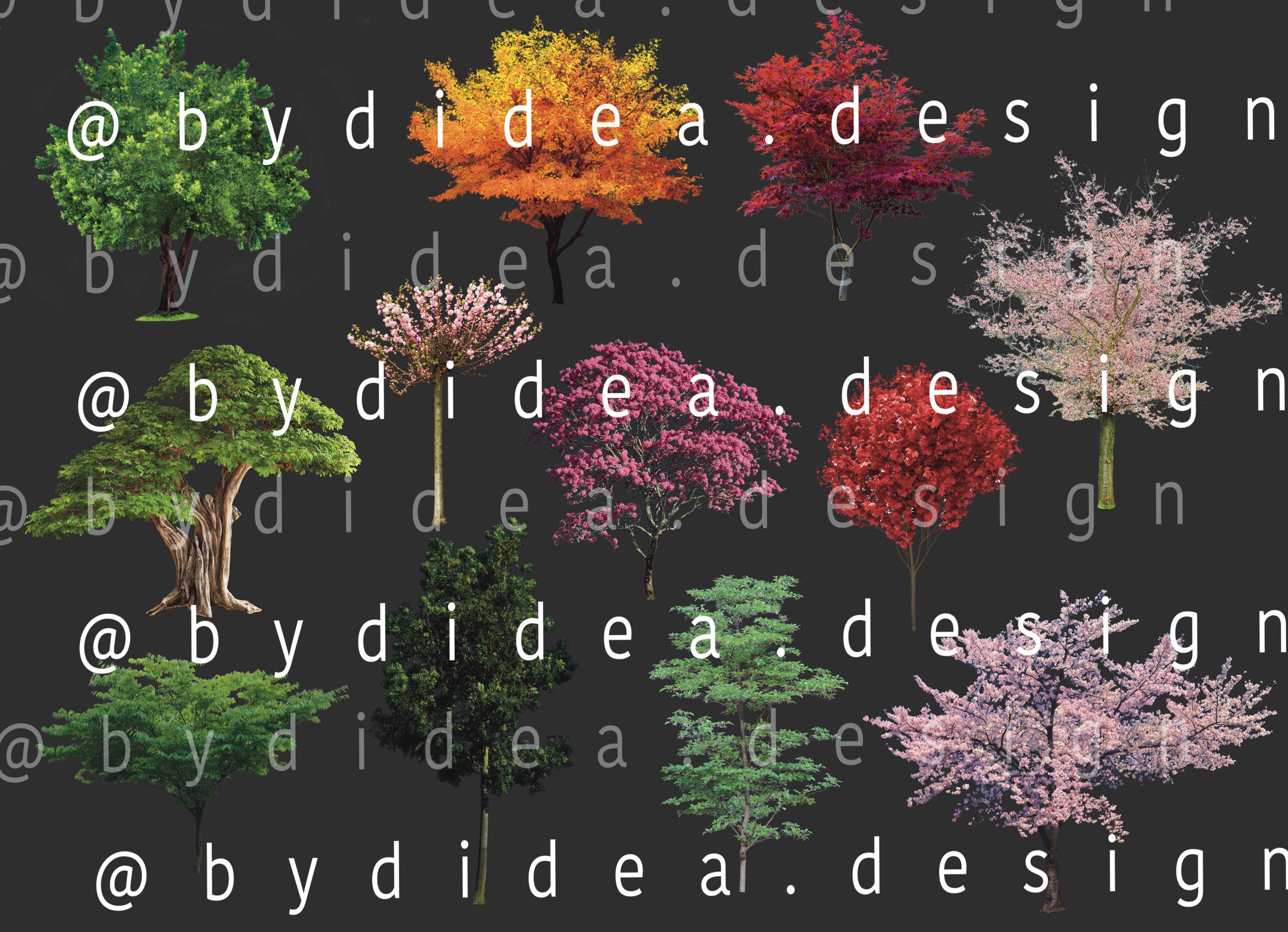 Procreate Set Plants Flowers Trees Nature Bundle Cutouts PNG Elements ...