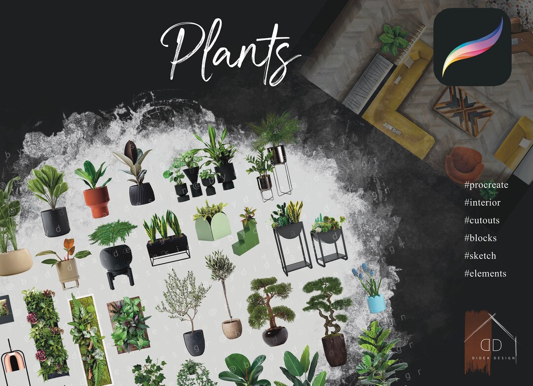 Procreate Plants Flowers Frontal View Cutouts Interior Home Sketch ...