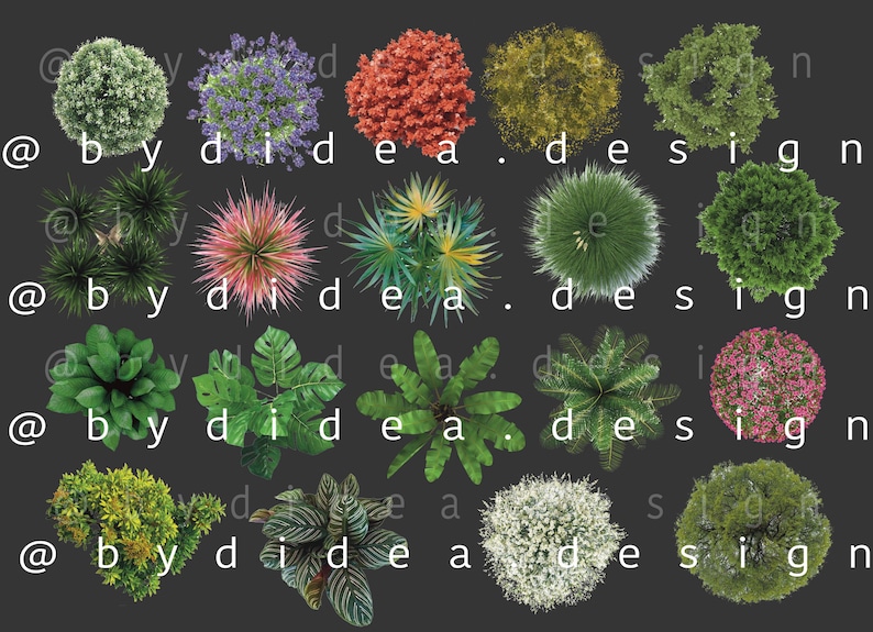 Procreate Set Plants Flowers Trees Nature Bundle Cutouts PNG Elements ...