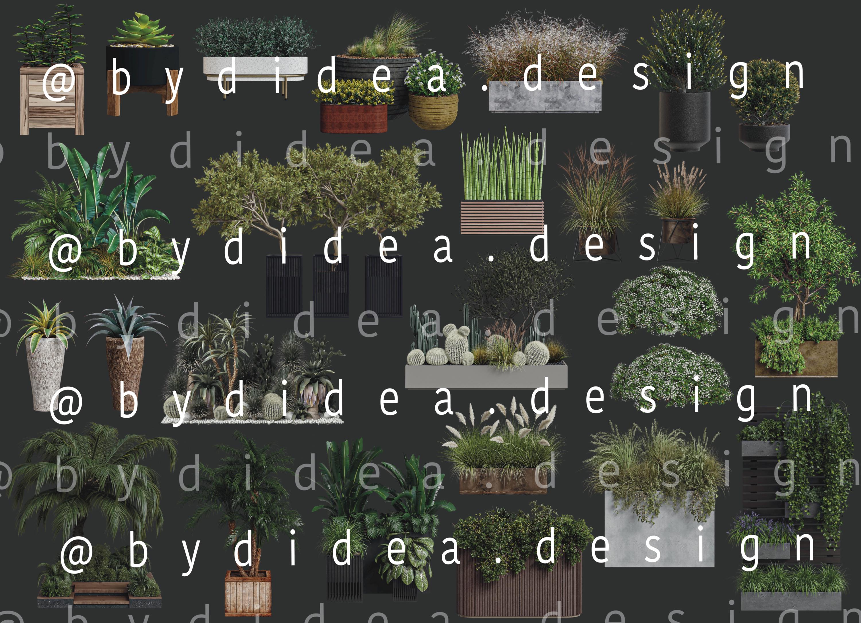 Procreate Set Plants Flowers Trees Nature Bundle Cutouts PNG Elements ...