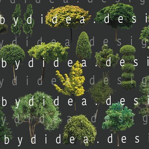 Procreate Set Plants Flowers Trees Nature Bundle Cutouts PNG Elements ...