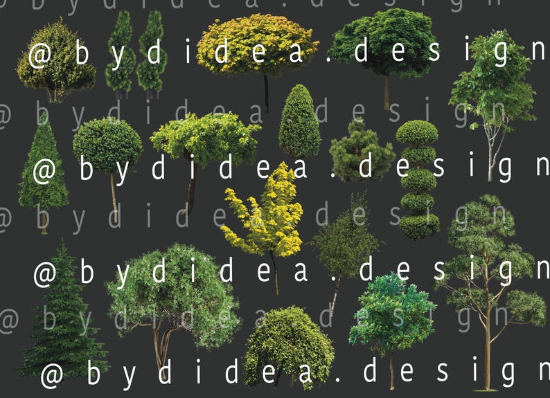 Procreate Set Plants Flowers Trees Nature Bundle Cutouts PNG Elements ...