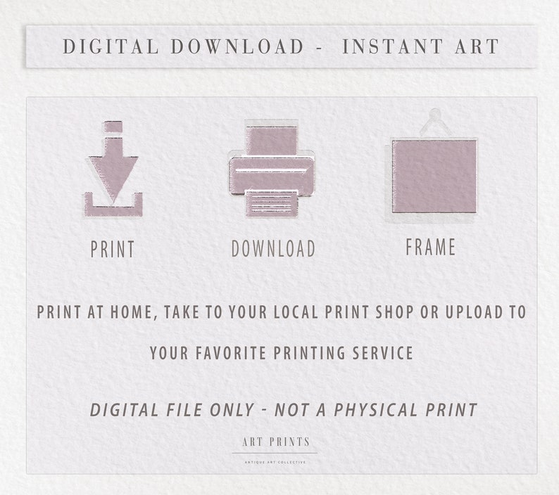 Vintage Botanical Drawing Print Pink Antique Flower Prints Flower ...