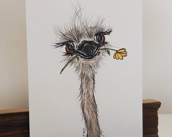 Mr and Mrs Ostrich Pair of Ostriches Ink Drawing Postcard - Etsy
