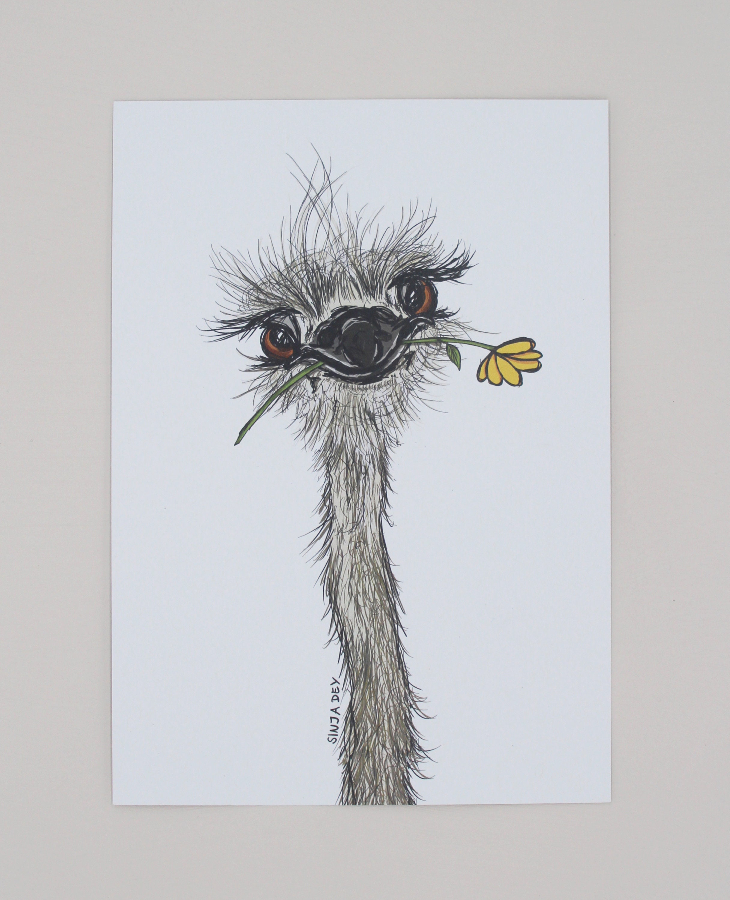 Hello Ostrich - Art Print - Etsy