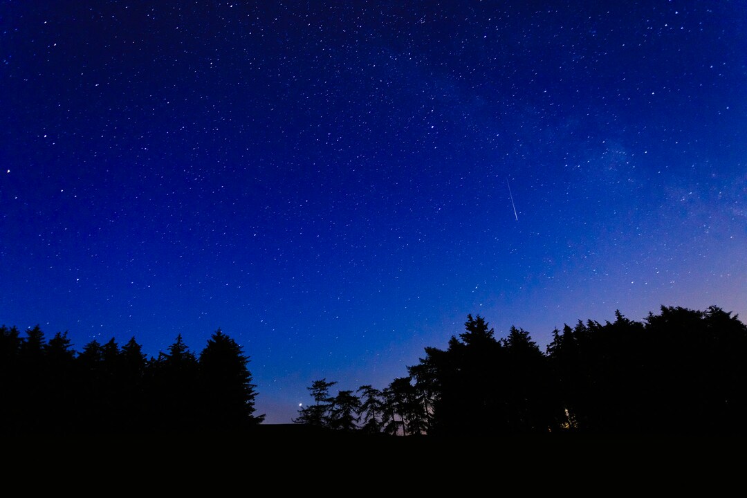 Star Filled Sky Over Trees Landscape Photography Print - Etsy