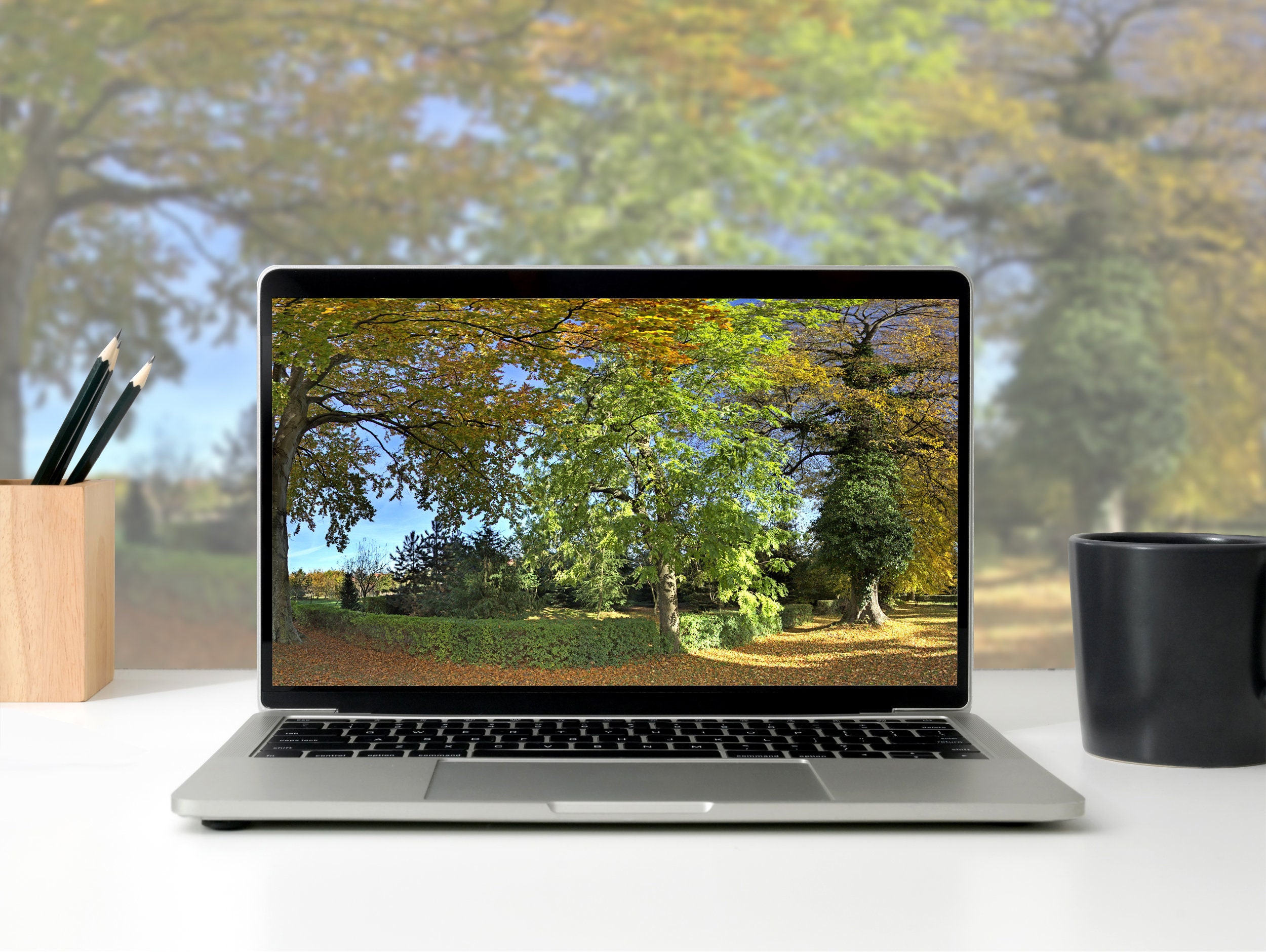 Windows 10 Lock Screen Wallpaper Pc | ppgbbe.intranet.biologia.ufrj.br