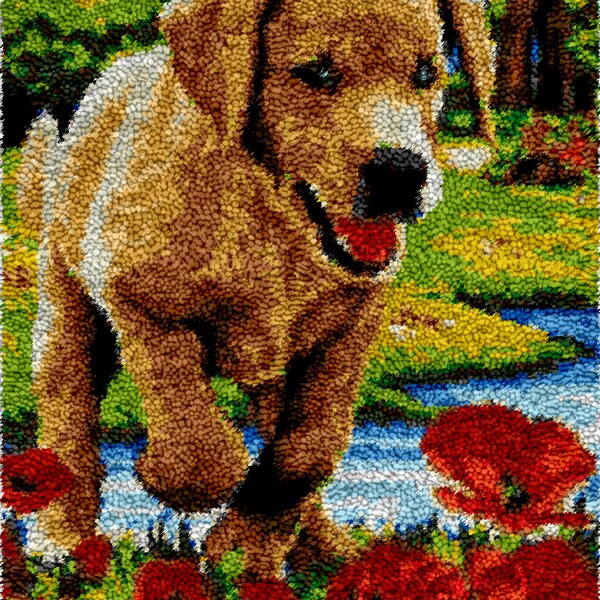 Latch Hooking Rug Canvas - Etsy