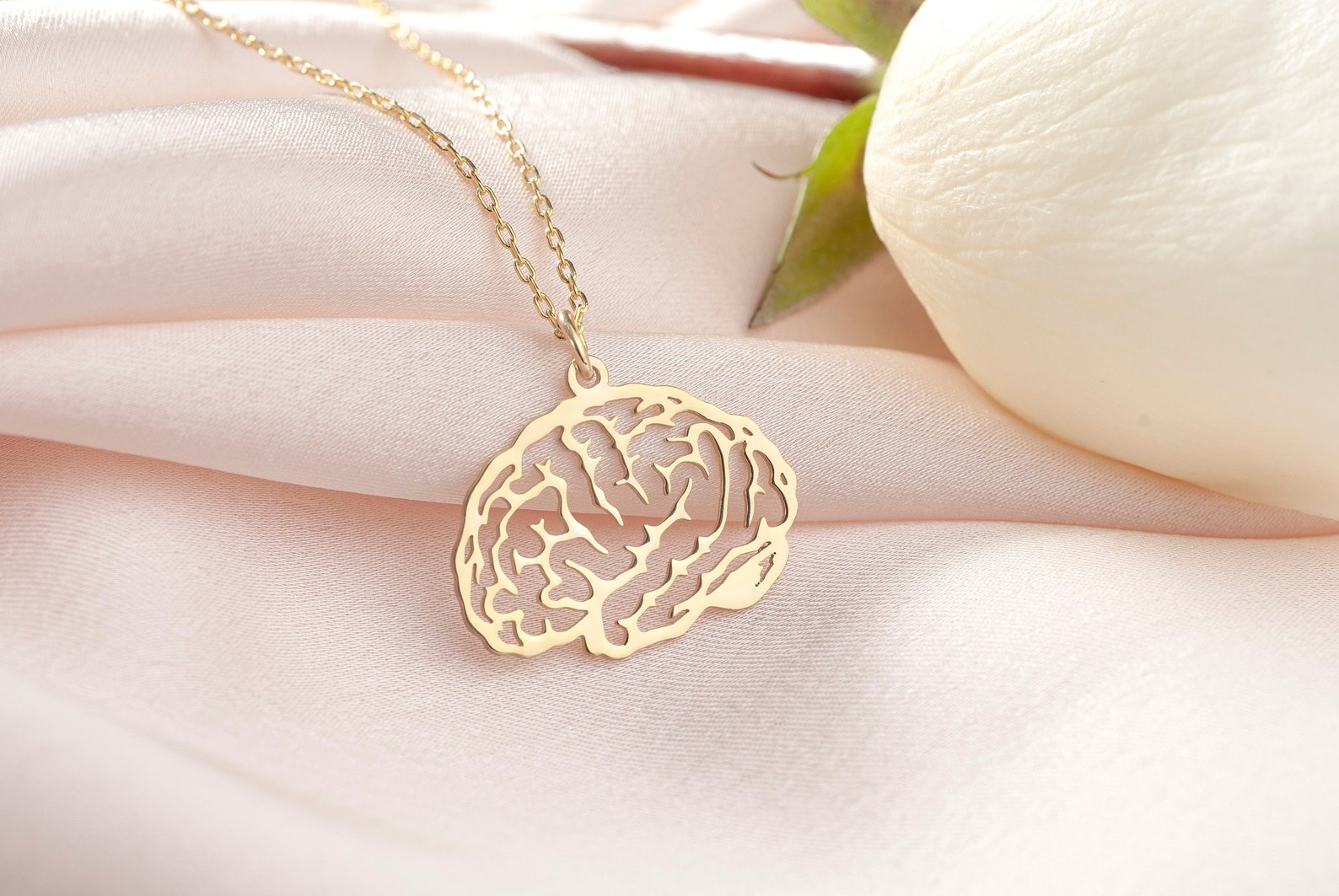 Dainty Sterling Silver Brain Necklace, Anatomical Science Jewelry - Etsy