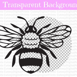 Bee SVG Bee Png Honeybee SVG Queen Bee SVG Bee Hive Svg - Etsy