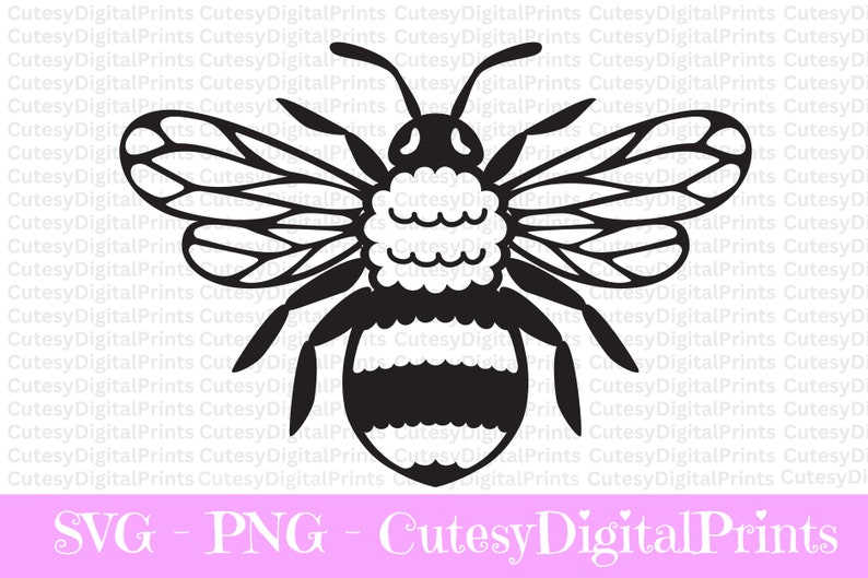 Bee SVG Bee Png Honeybee SVG Queen Bee SVG Bee Hive Svg - Etsy