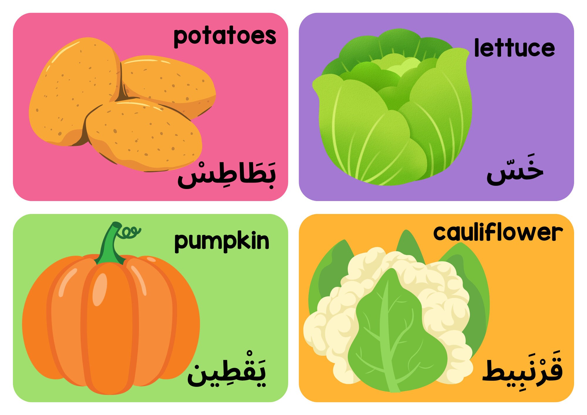 Fruits and Vegetables Flashcards. Arabic and English Flashcards. تعلم ...