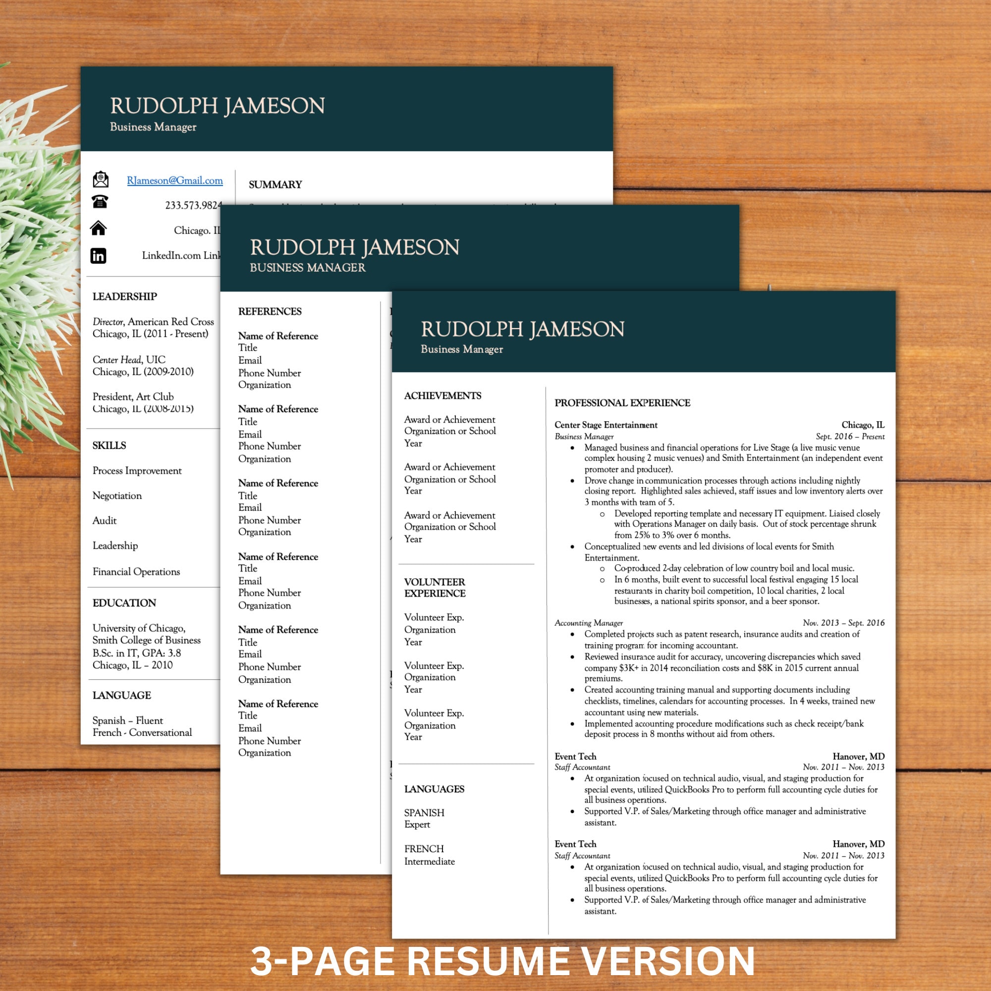 Executive Resume Template for Word, CV Template, Professional Resume ...