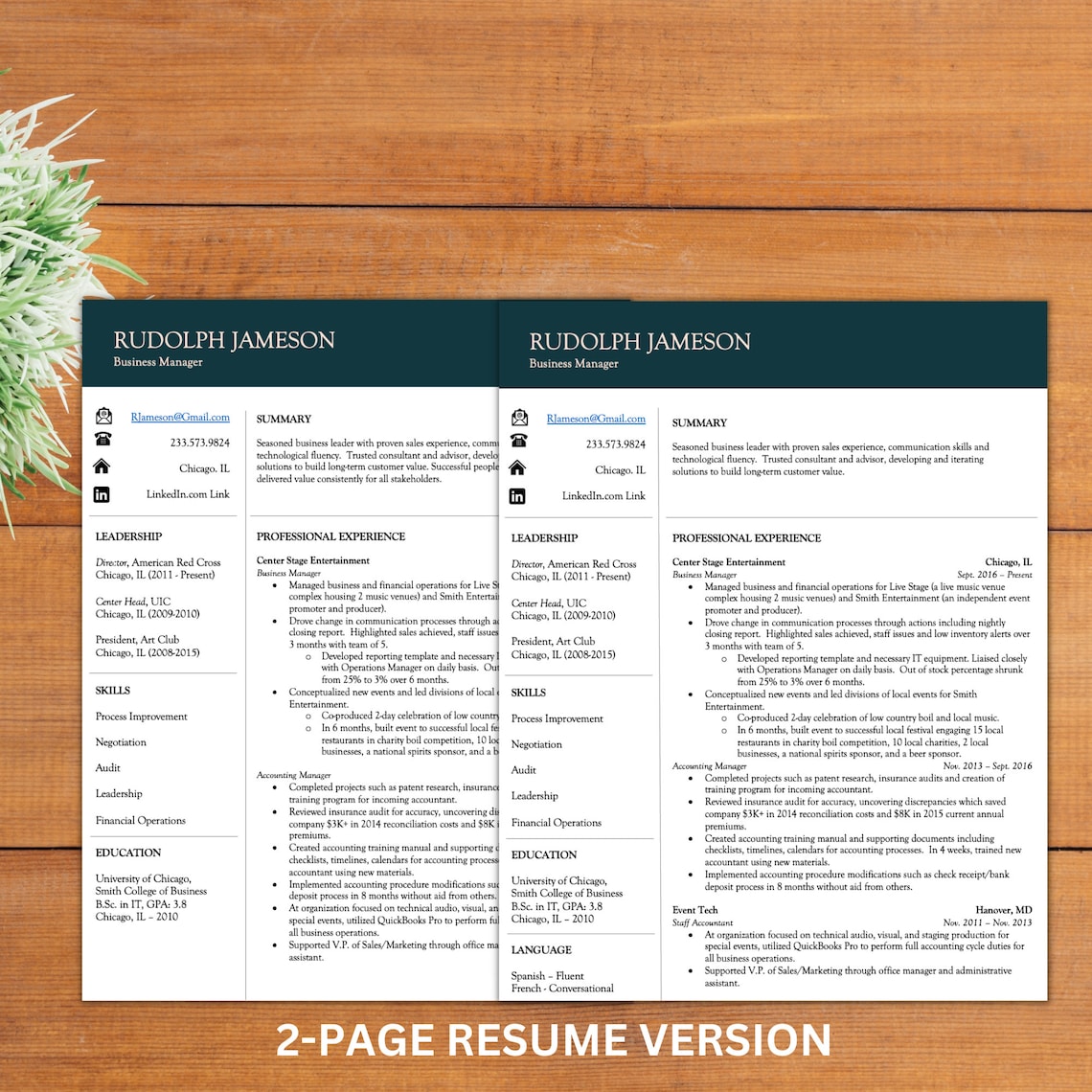 Executive Resume Template for Word CV Template Professional - Etsy