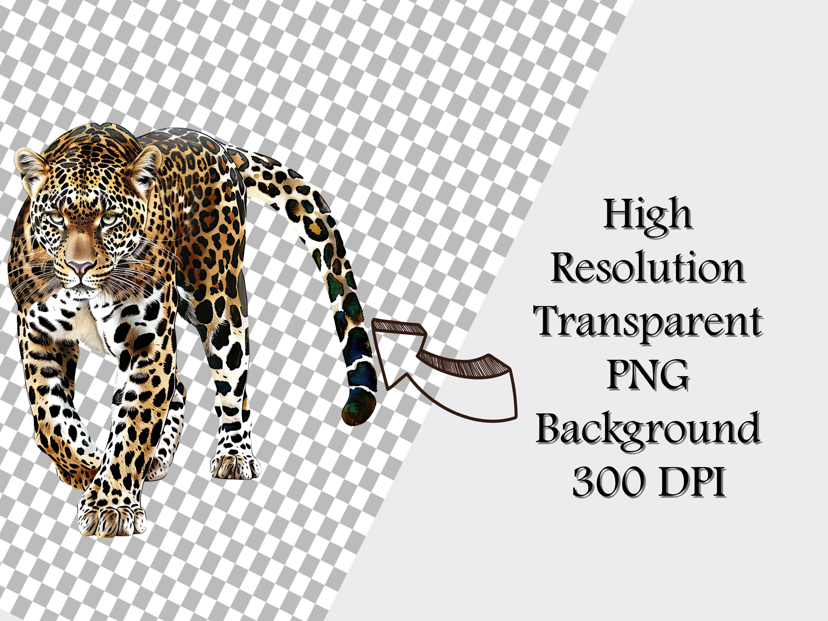 Watercolor Wild Cats Clipart Set of 20 PNG Files, Animal Clipart ...