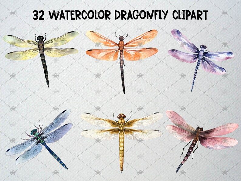 Watercolor Dragonfly Clipart Set of 32 PNG Files, Insect Clipart ...