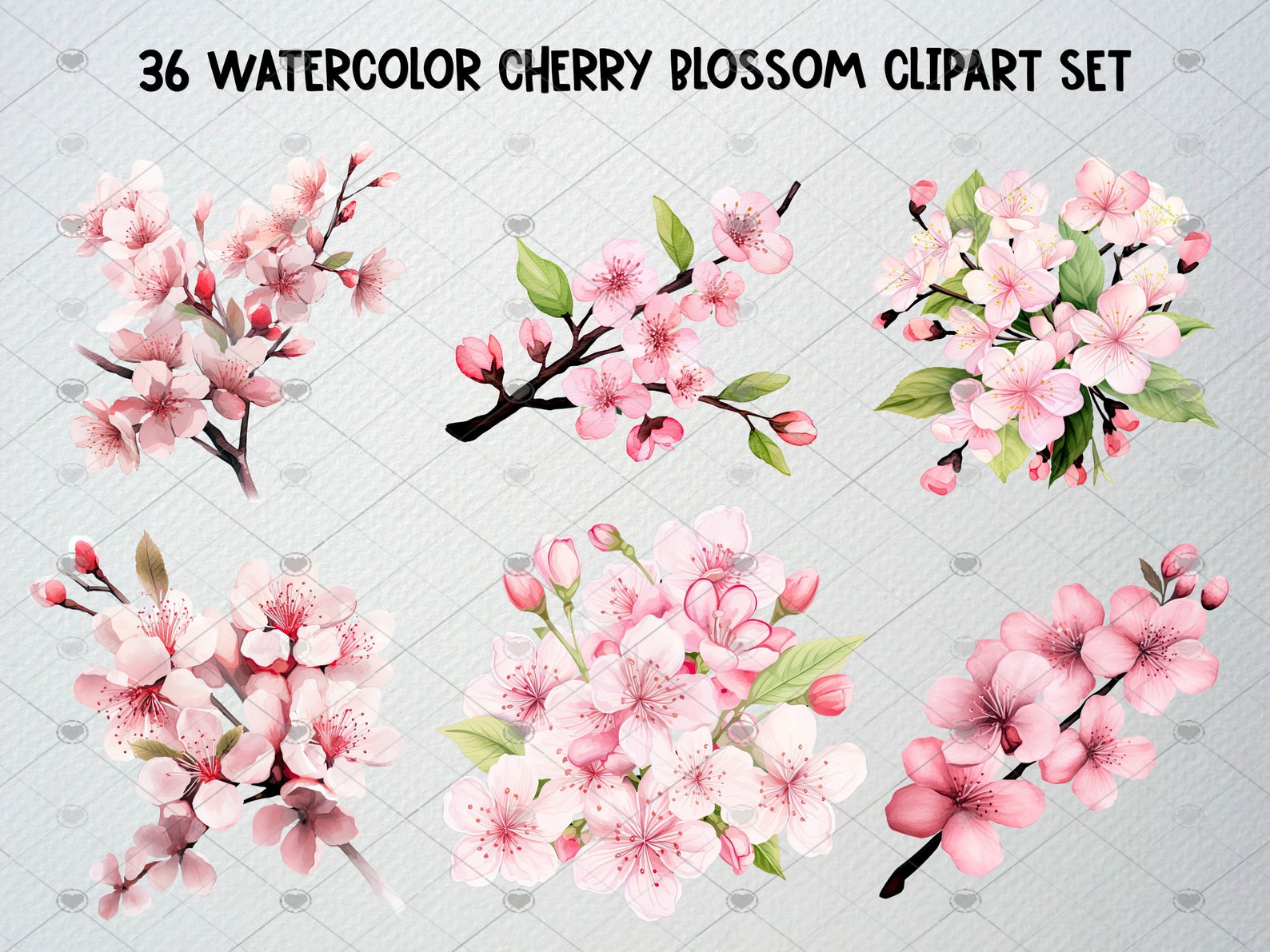 Watercolor Cherry Blossom Clipart Set, Floral Clipart, Cherry Blossom ...