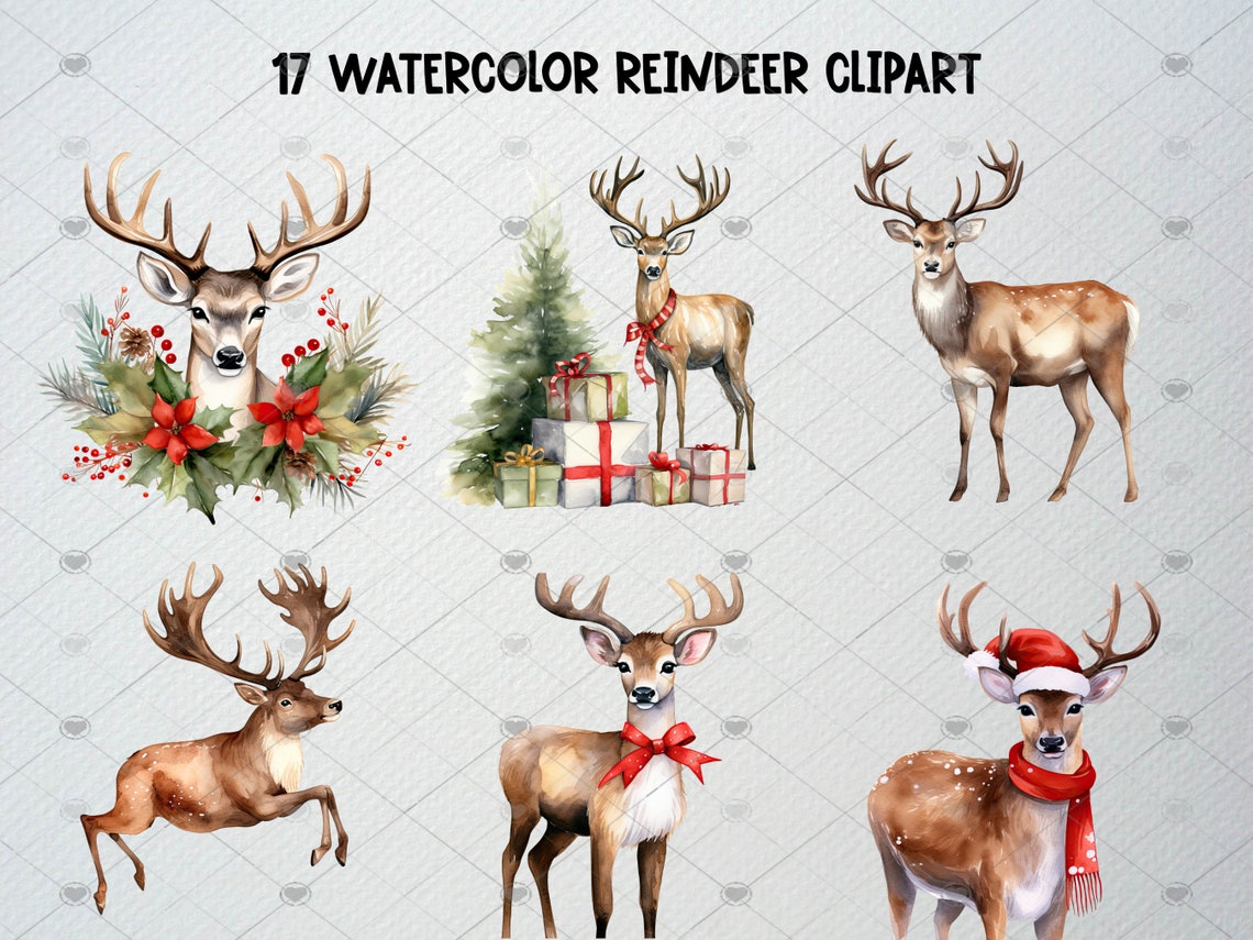 Watercolor Reindeer Clipart Set of 17 PNG Files, Christmas Clipart ...