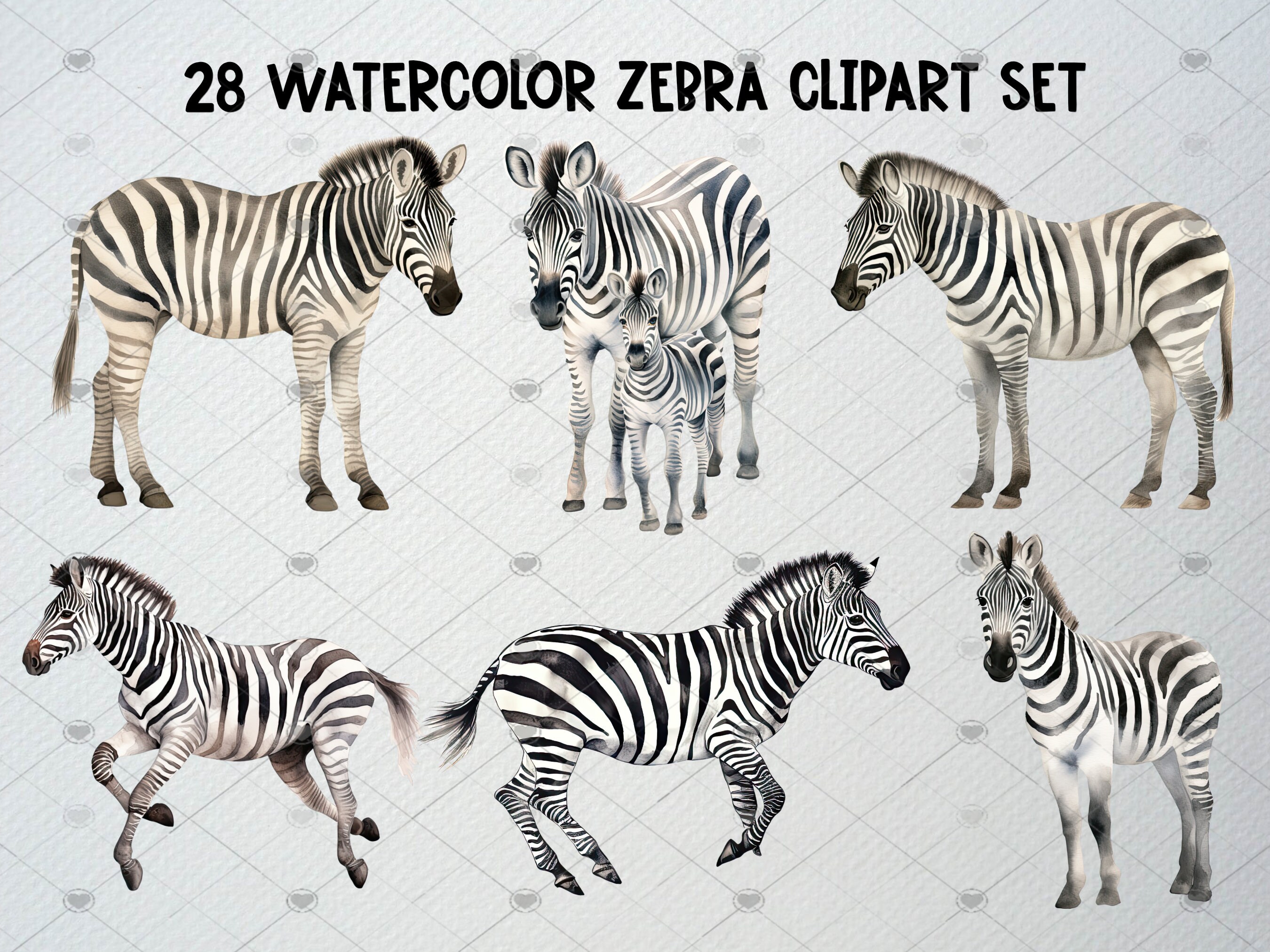 Watercolor Zebra Clipart Set of 28 PNG Files, Safari Animal Clipart ...