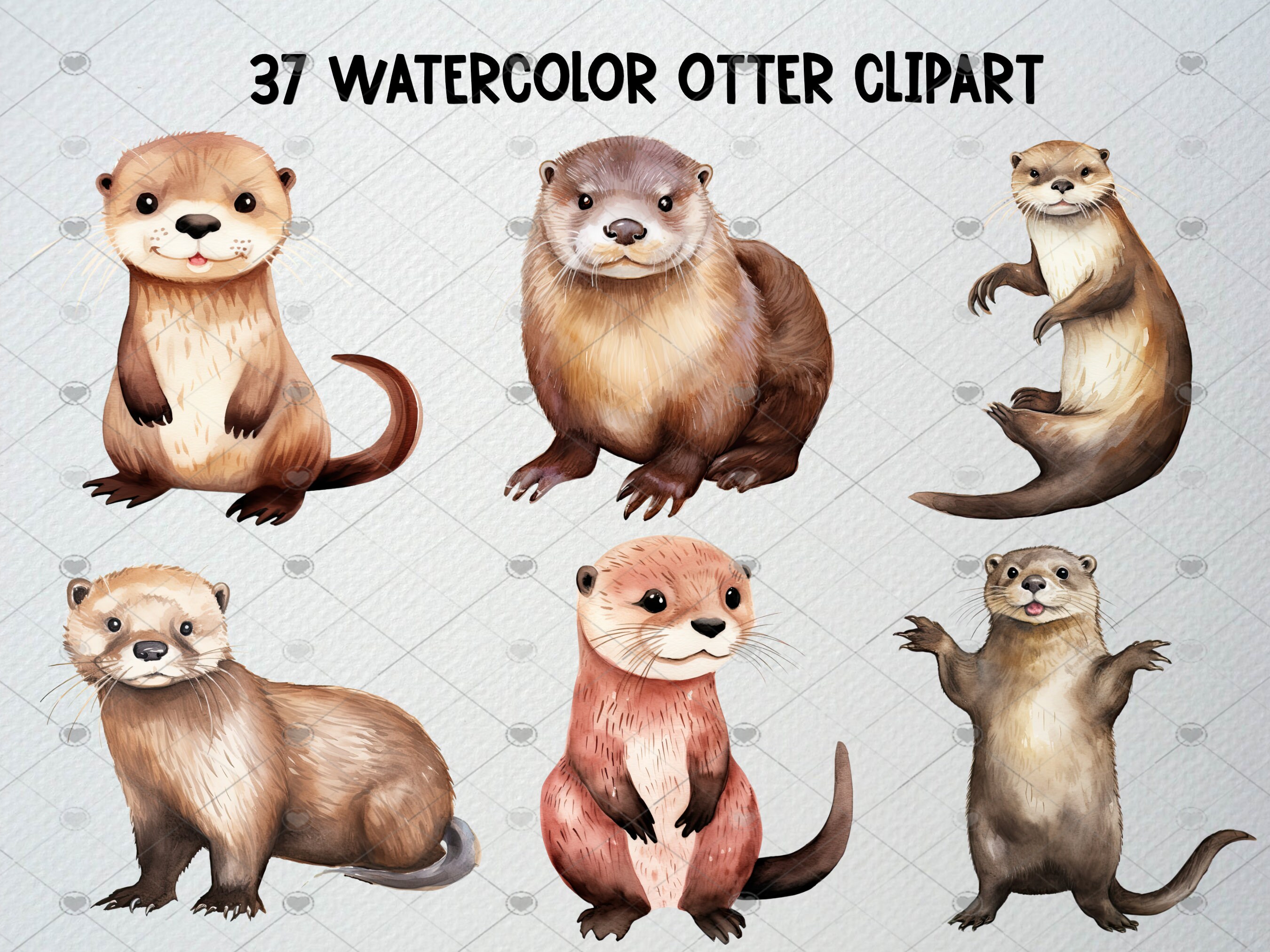 Watercolor Otter Clipart Set of 37 PNG, Cute Otter Clipart, Sea Otter ...
