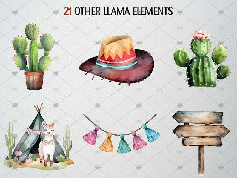 Llama Clipart, Hand Drawn Watercolor Llama Clipart Set of 43 PNG Files ...