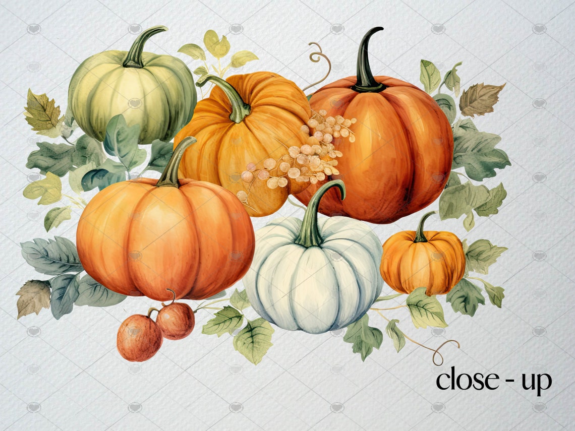Watercolor Pumpkin Clipart Set of 50 PNG Files, Fall Clipart, Autumn ...